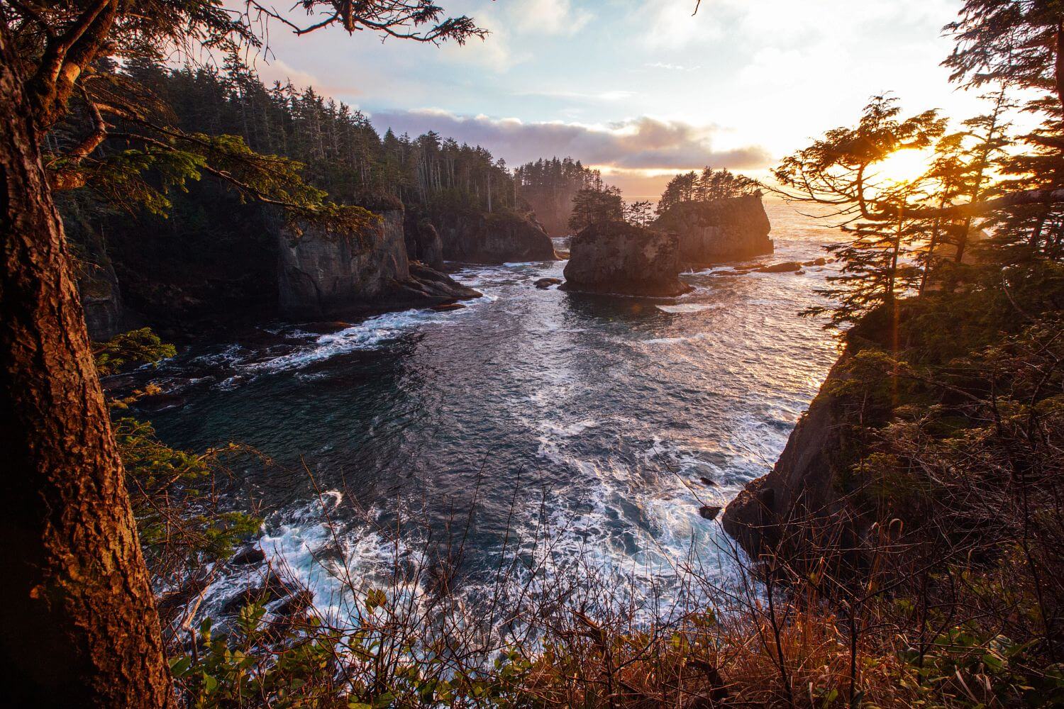 Is the Coleman Rubicon 1200RK Your Ideal RV?