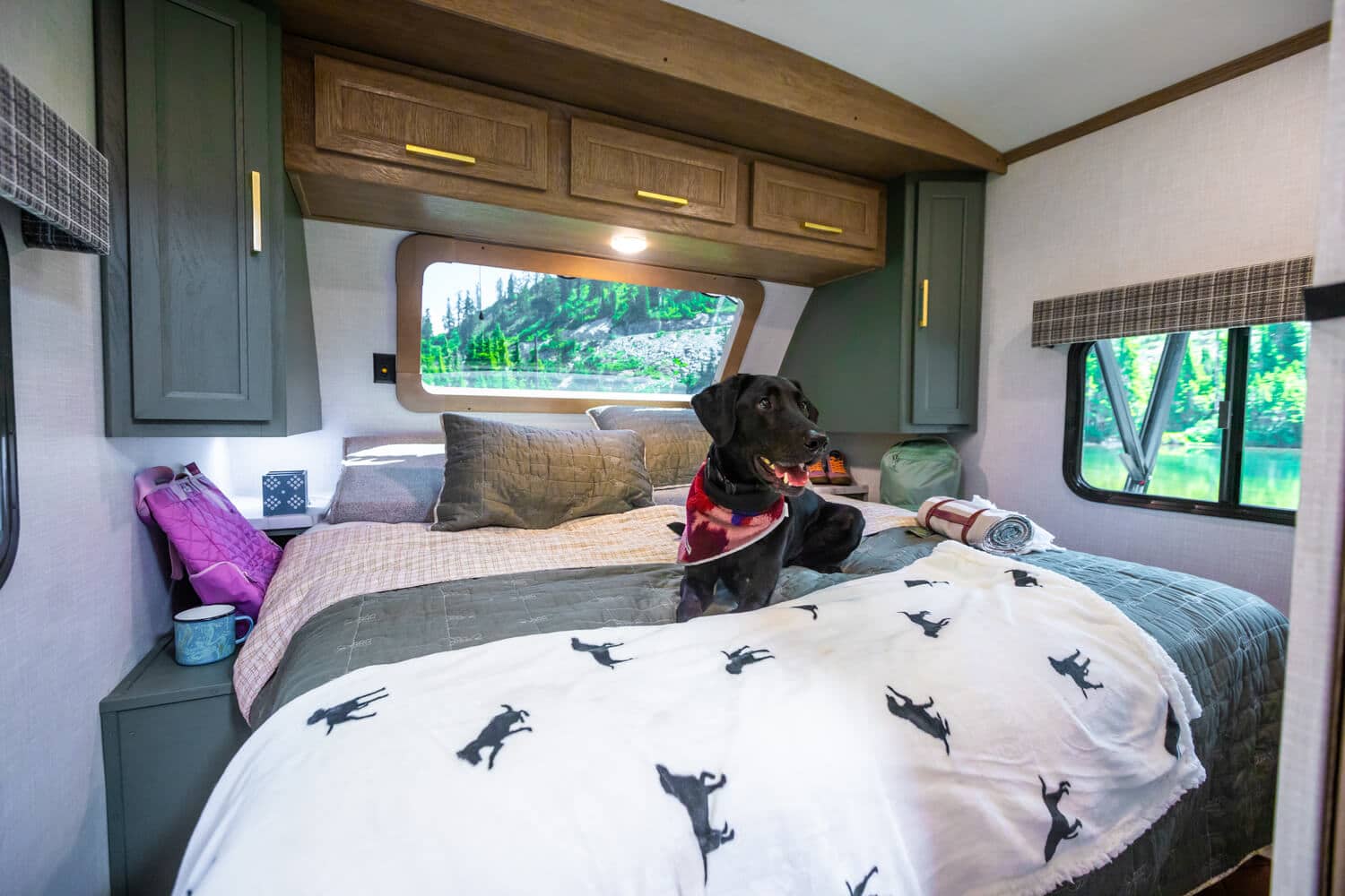 A First Look at the Brand New Eddie Bauer RVs