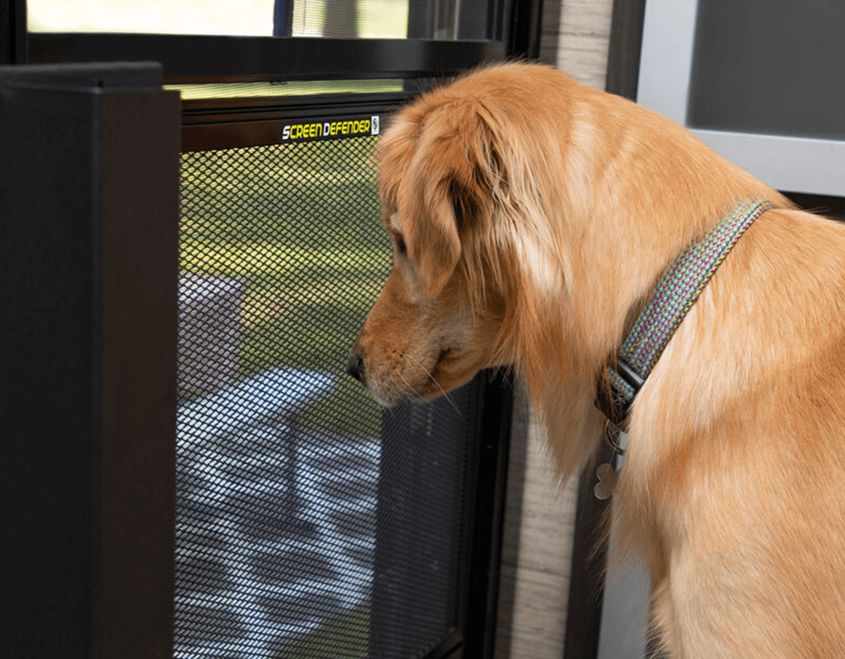 How To Replace RV Doors & Windows | Camping World Blog