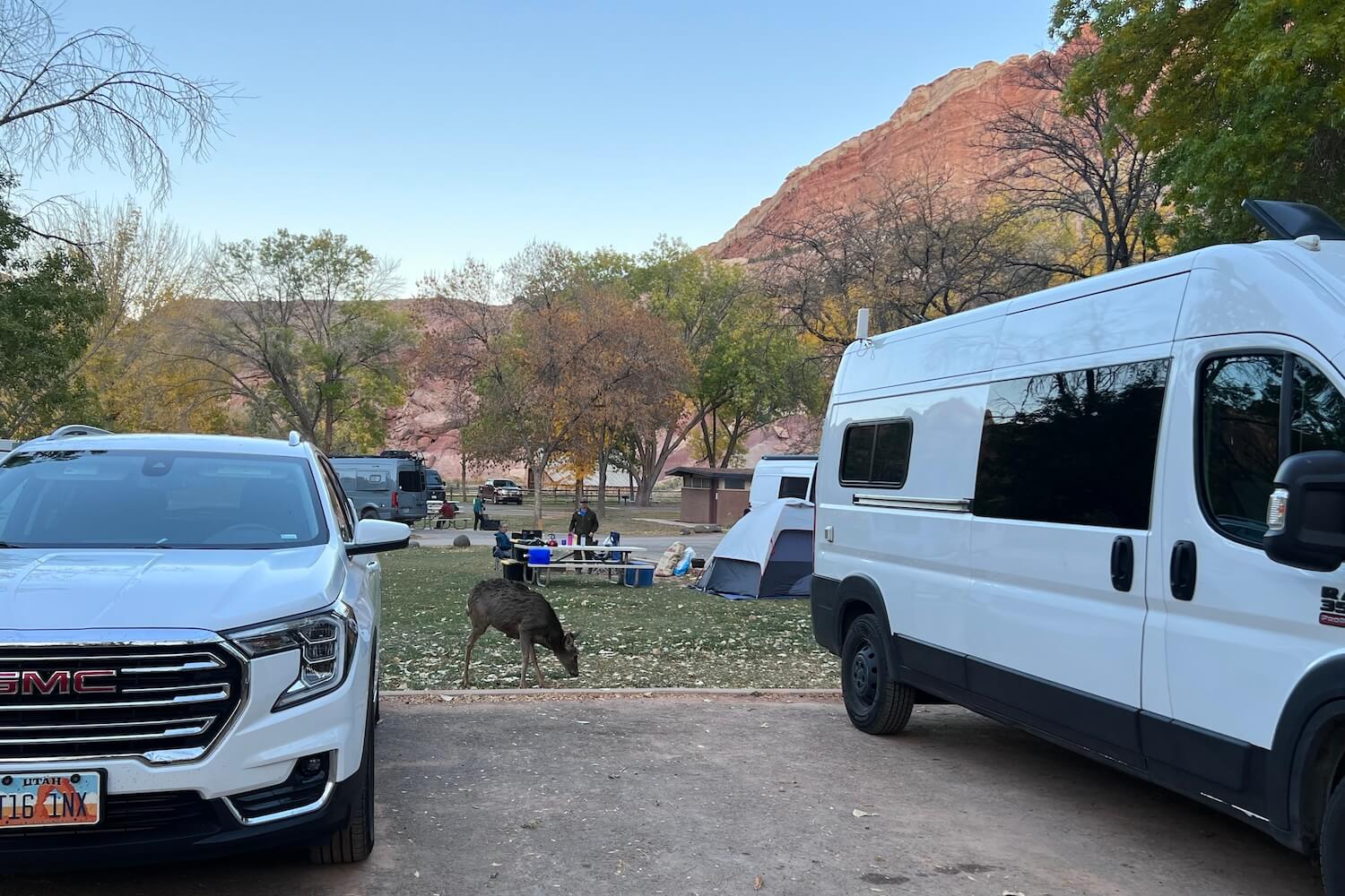 Top 10 Van Camper Lessons for Beginners | Camping World Blog