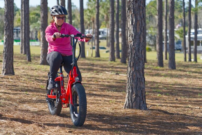 Huffy Electric Bike Review | Camping World Blog