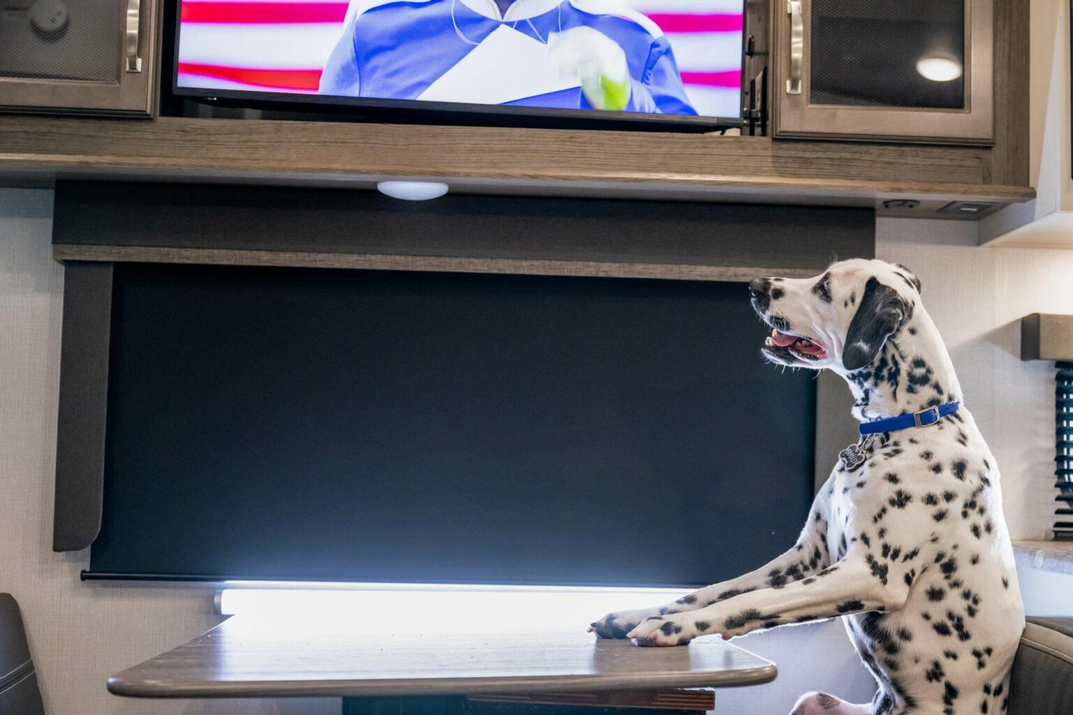 How To Use an RV Cable Hookup | Camping World Blog